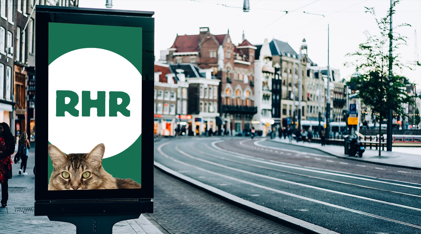 Nyaste klösträden från RHRQuality hos RHR Pets – tagged "Volwassen Katten"